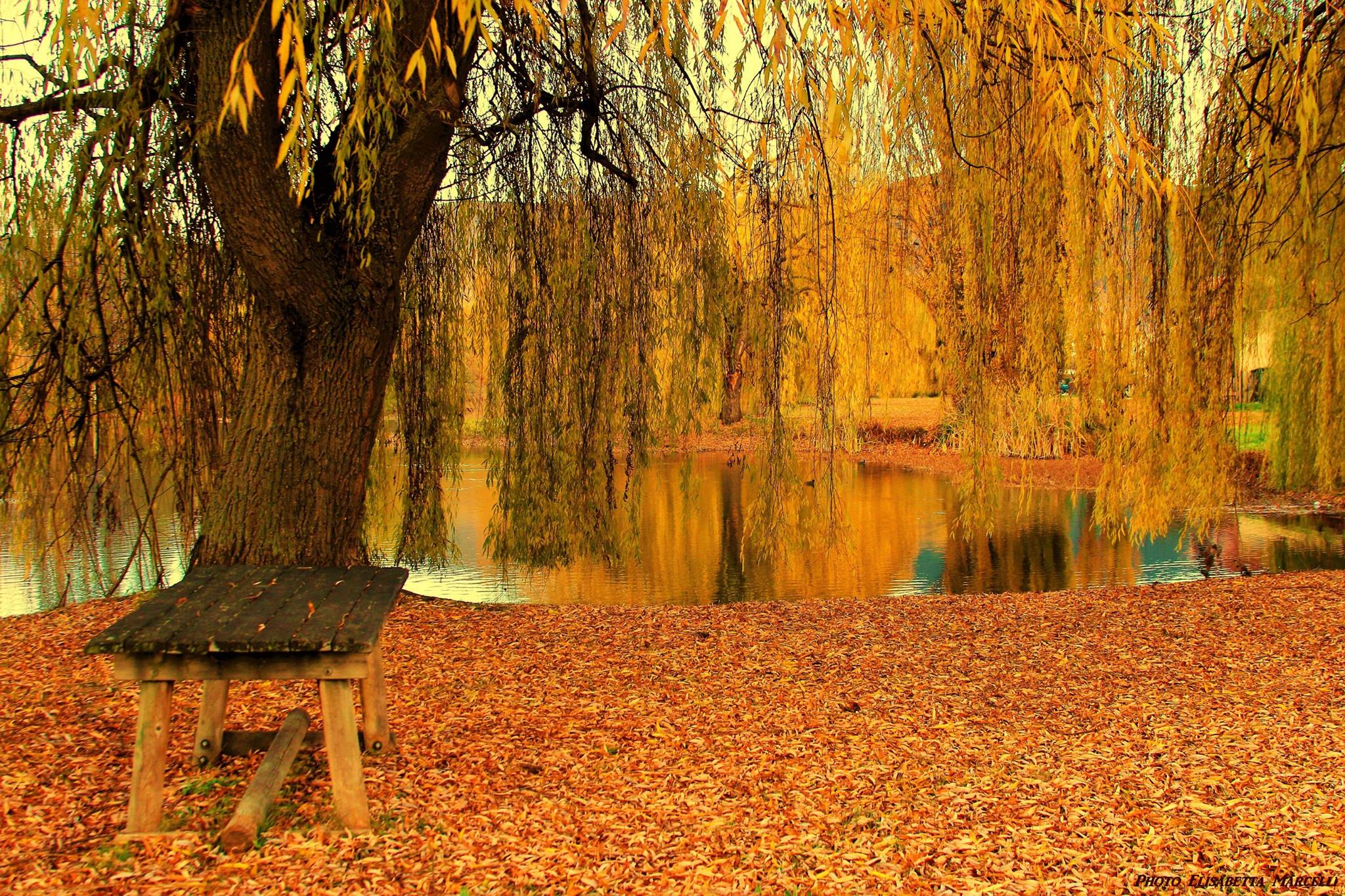 Le tonalità spettacolari del foliage abruzzese | Il Faro 24!