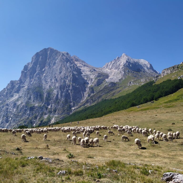 IL GHIACCIAIO DEL CALDERONE NON VUOL MORIRE DI ANGELO IANNI | Il Faro 24!
